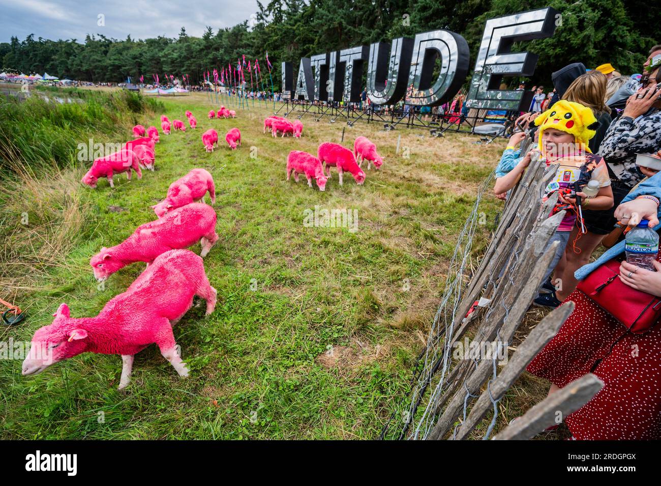 Henham Park, Suffolk, UK. 21st July, 2023. The famous pink sheep with ...