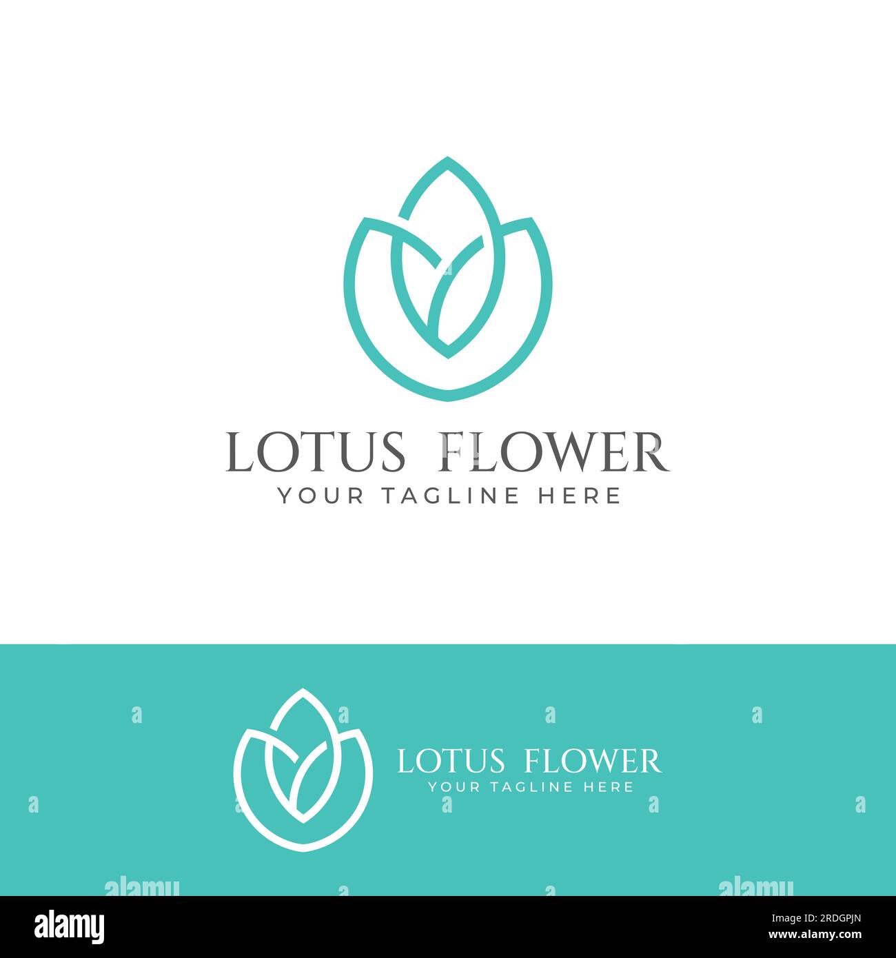 Beautiful and naturally beautiful lotus spa flowers, with luxurious and ...