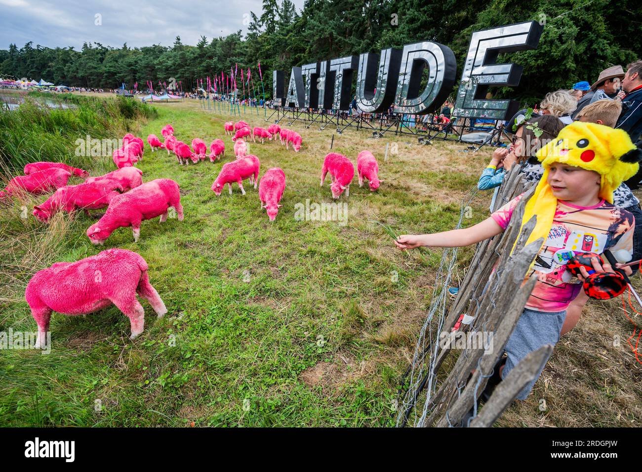 Henham Park, Suffolk, UK. 21st July, 2023. The famous pink sheep with ...