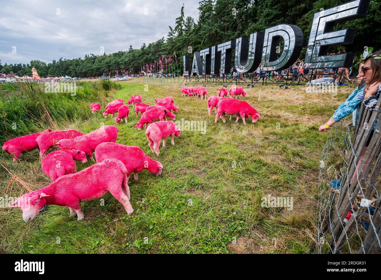 Henham Park, Suffolk, UK. 21st July, 2023. The famous pink sheep with ...