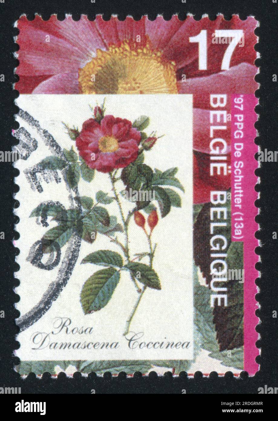 RUSSIA KALININGRAD, 26 OCTOBER 2015: stamp printed by Belgium, shows ...