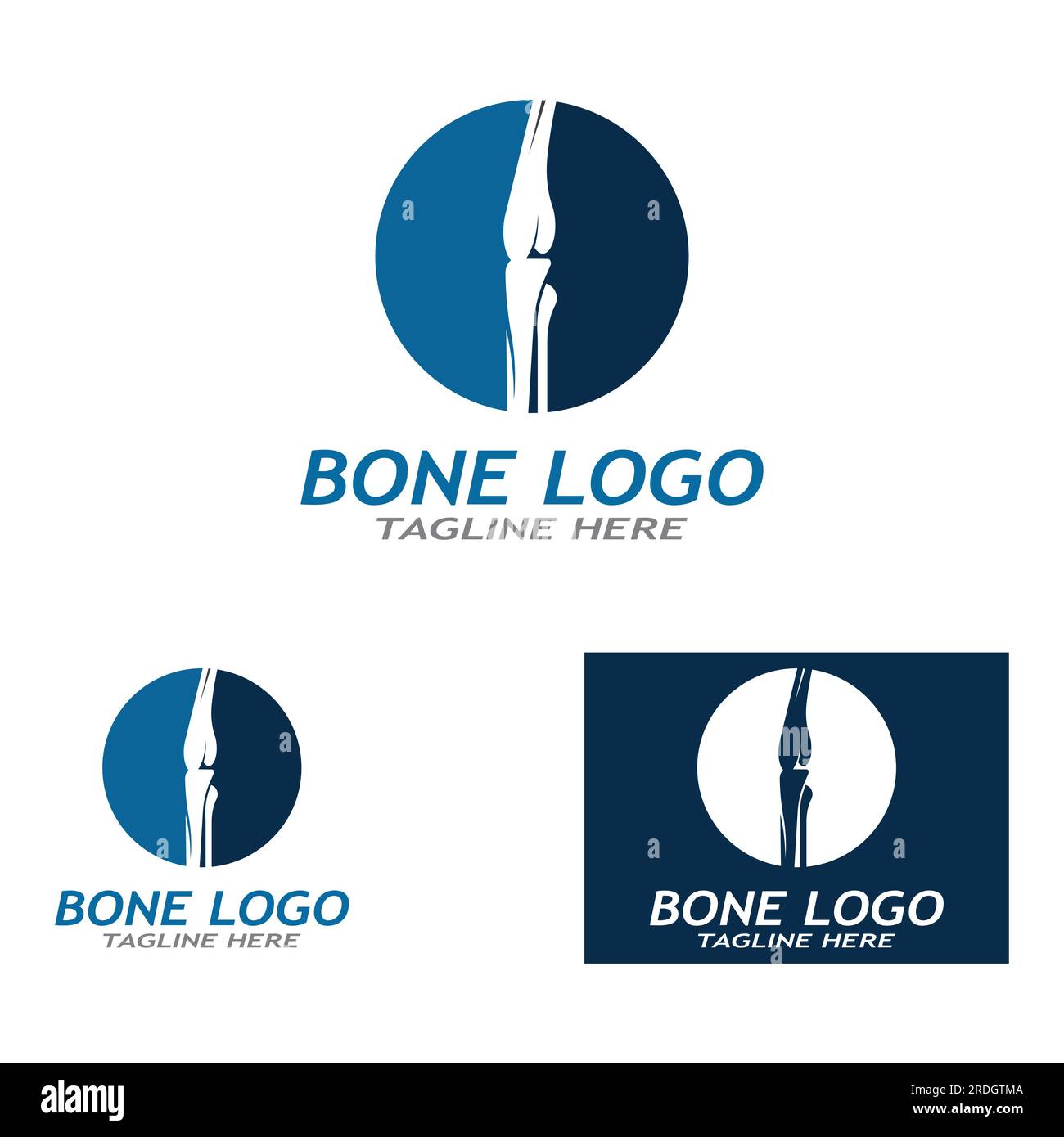 Bone logo icon vector design Stock Vector Image & Art - Alamy