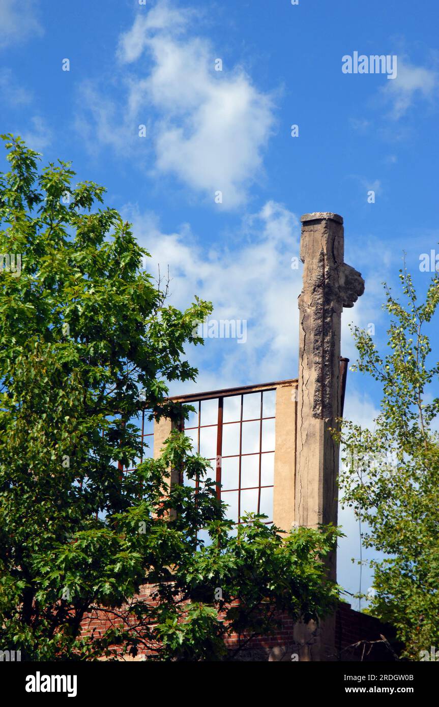 The Quincy Mill flotation building stands in ruins and overgrown with ...