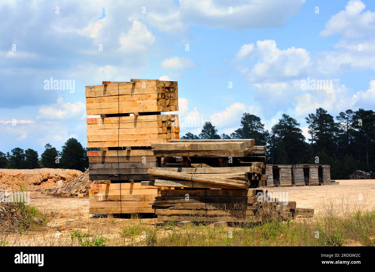 Stack of newly cut lumber sits in stacked pallets ready for ...