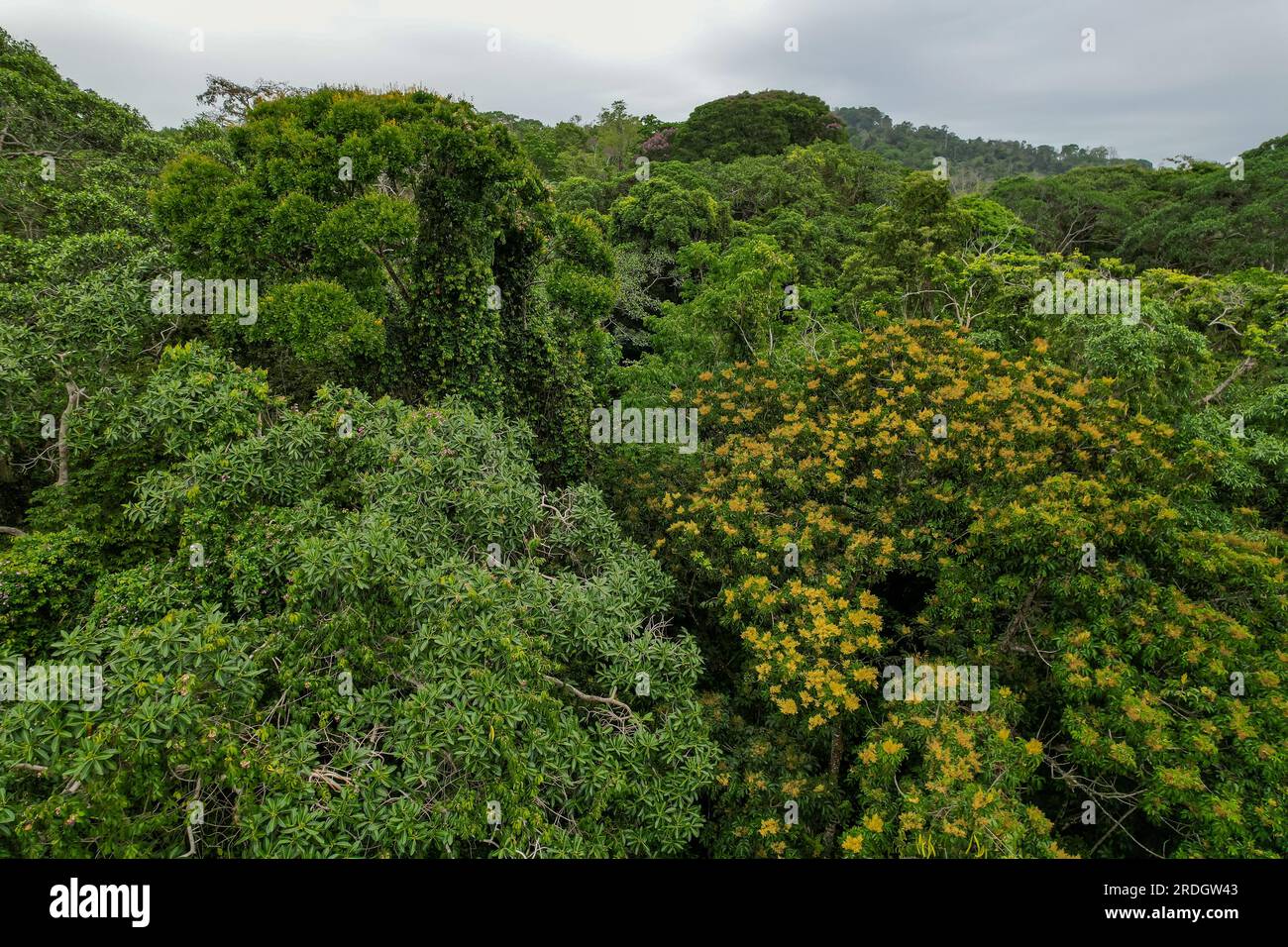 Beautiful aerial view of the Costa Rica Rainforest in the Talamanca ...