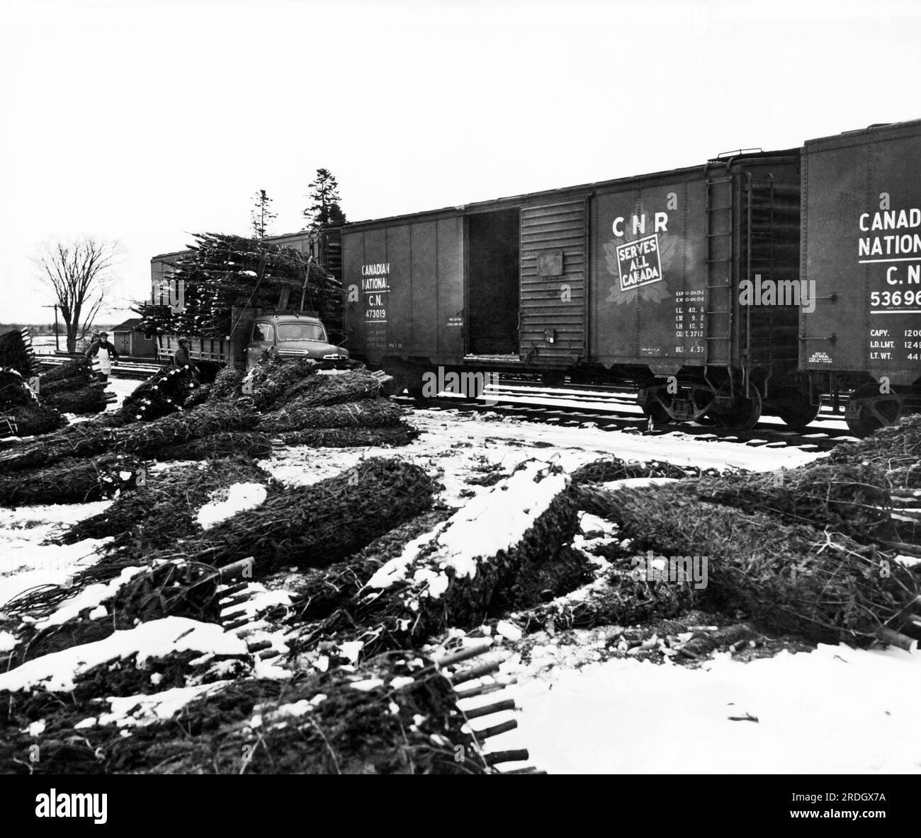 White christmas 1954 hi-res stock photography and images - Alamy