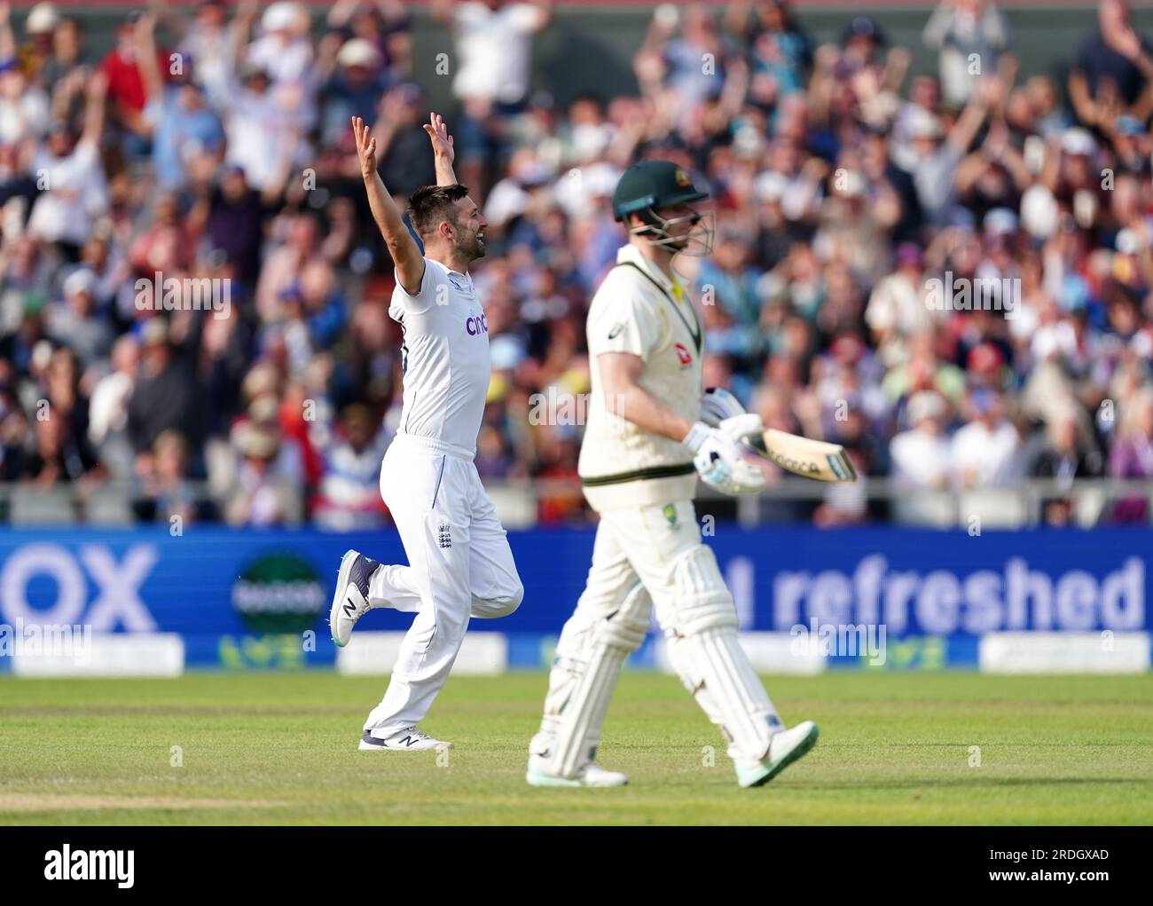 England's Mark Wood celebrates the wicket of Australia's Steve Smith on ...