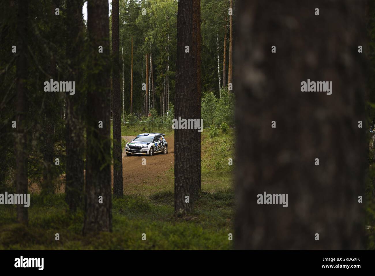 Bruno bulacia hi-res stock photography and images - Alamy