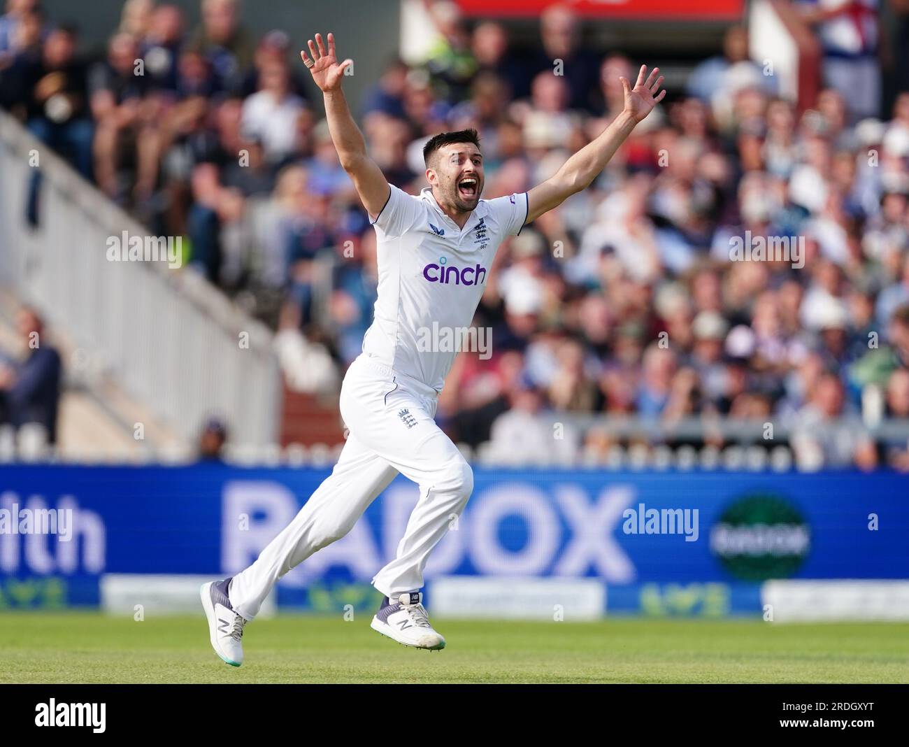 England's Mark Wood celebrates the wicket of Australia's Steve Smith on ...