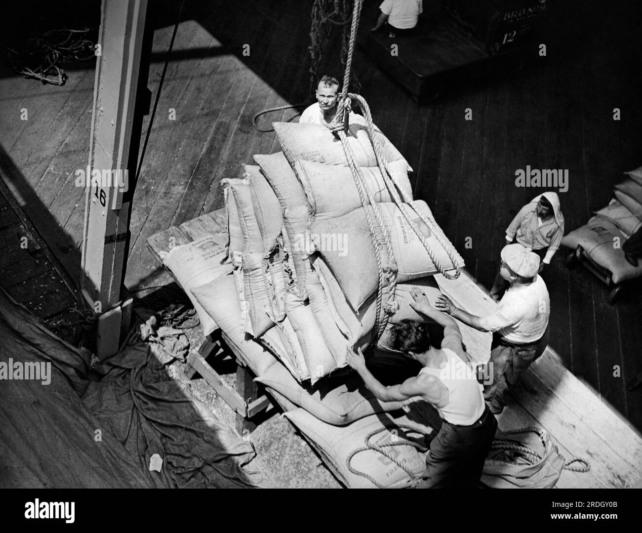 New York, New York c. 1937 A sling holding bags of Santos Brazilian ...