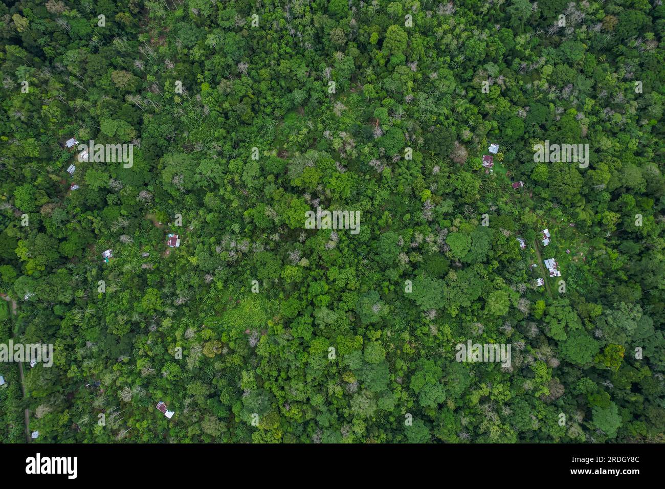 Beautiful aerial view of the Costa Rica Rainforest in the Talamanca ...