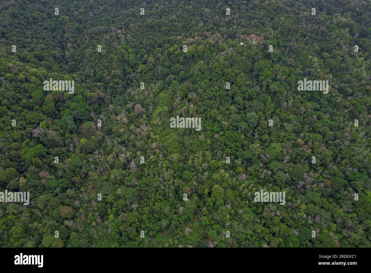 Beautiful aerial view of the Costa Rica Rainforest in the Talamanca ...