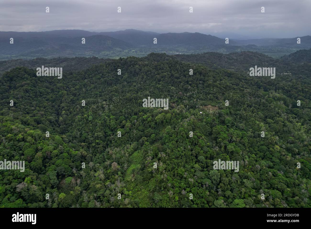 Bananito river hi-res stock photography and images - Alamy