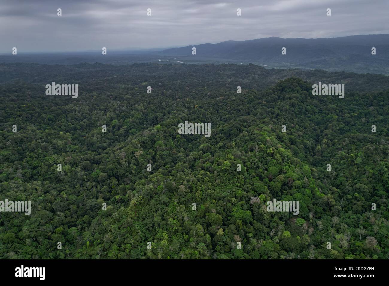 Beautiful aerial view of the Costa Rica Rainforest in the Talamanca ...