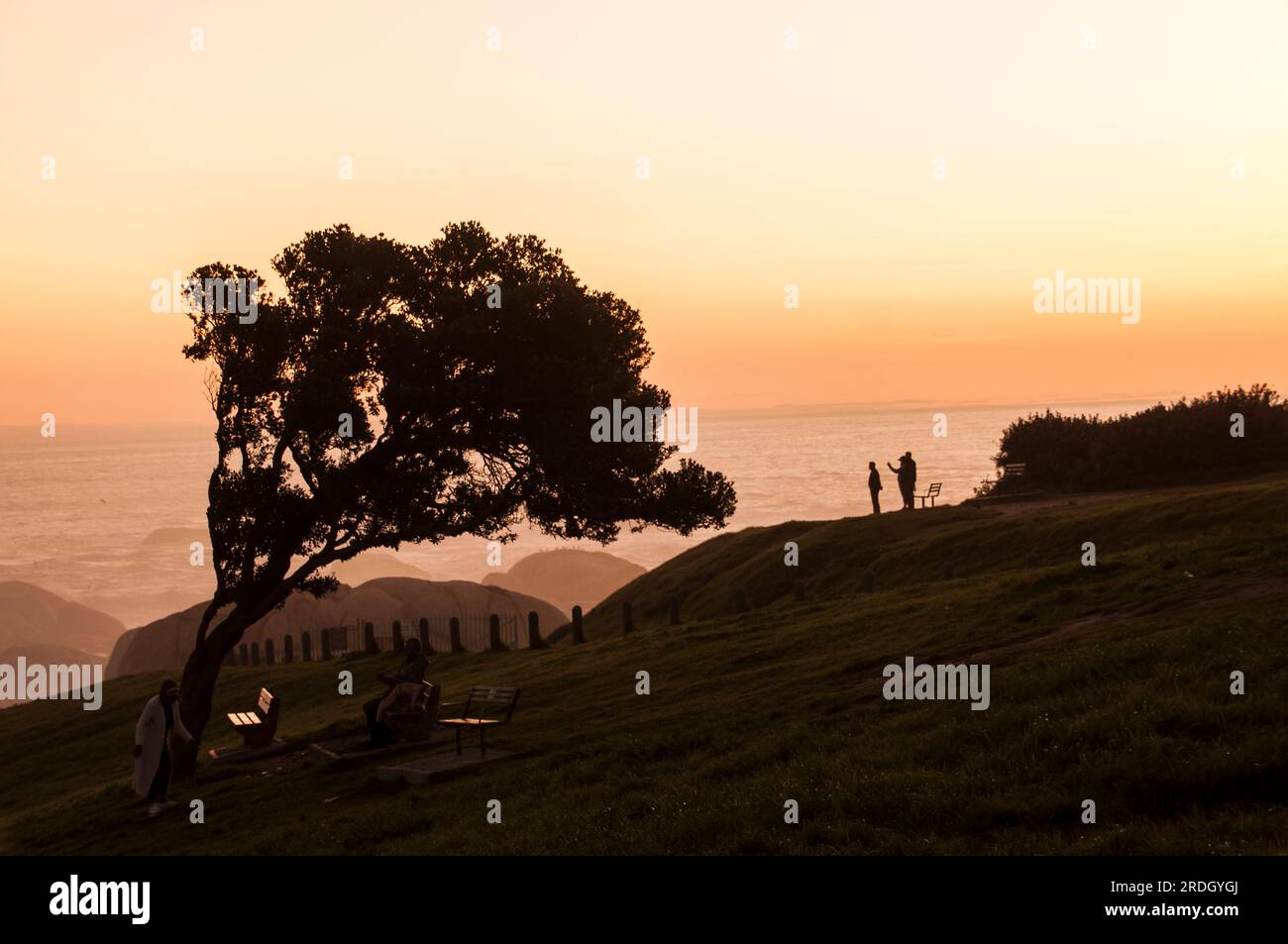 Sunset silhouette scene of people near a windblown tree above the rocks ...