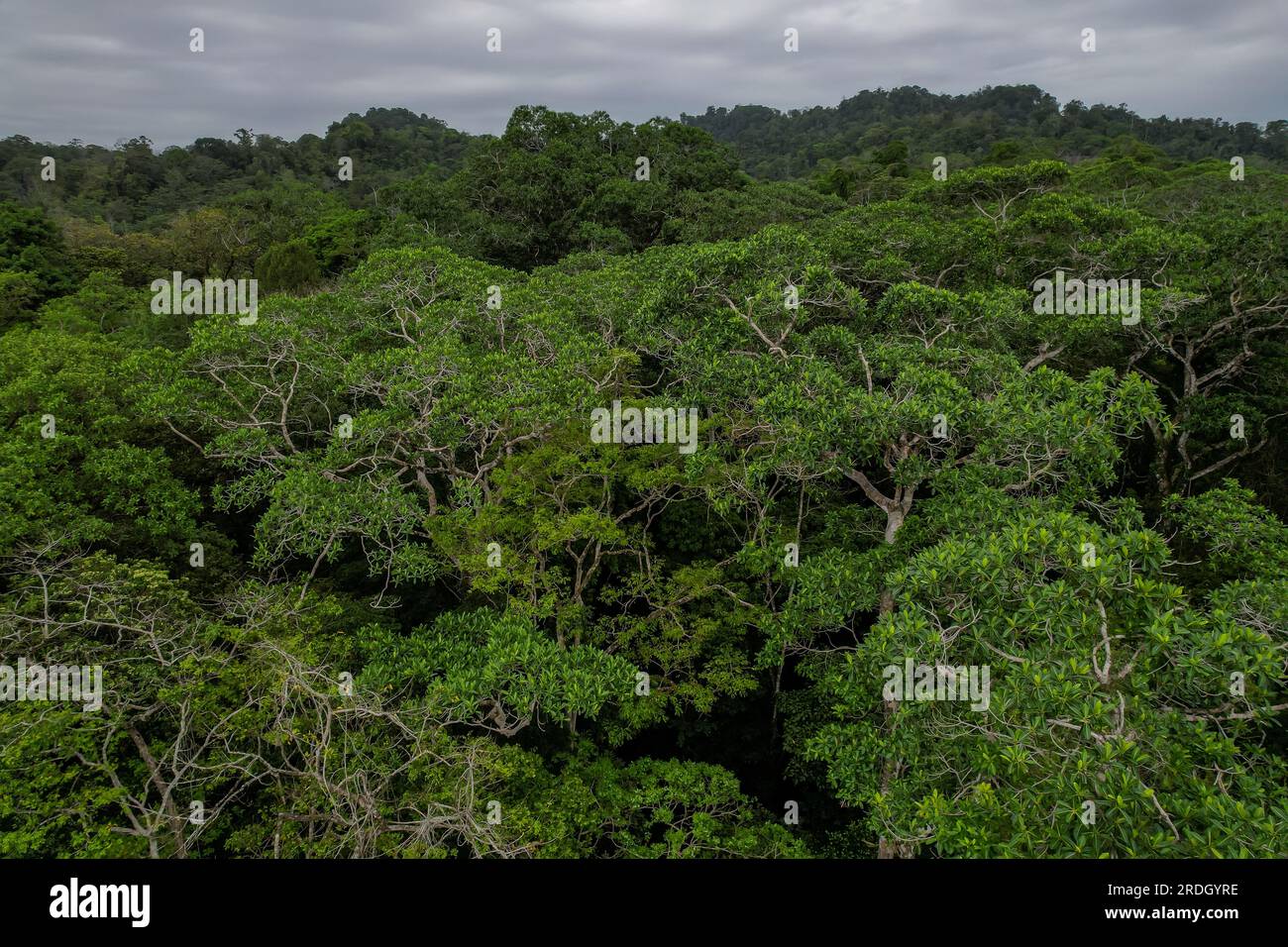 Beautiful aerial view of the Costa Rica Rainforest in the Talamanca ...