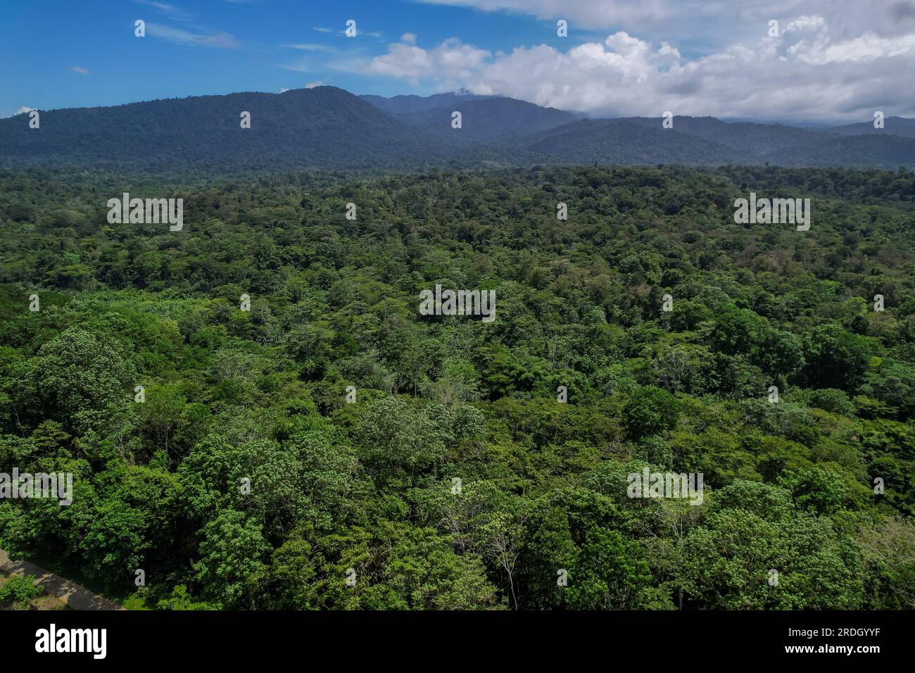 Beautiful aerial view of the Costa Rica Rainforest in the Talamanca ...