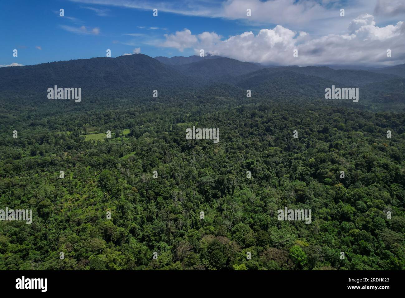 Beautiful aerial view of the Costa Rica Rainforest in the Talamanca ...