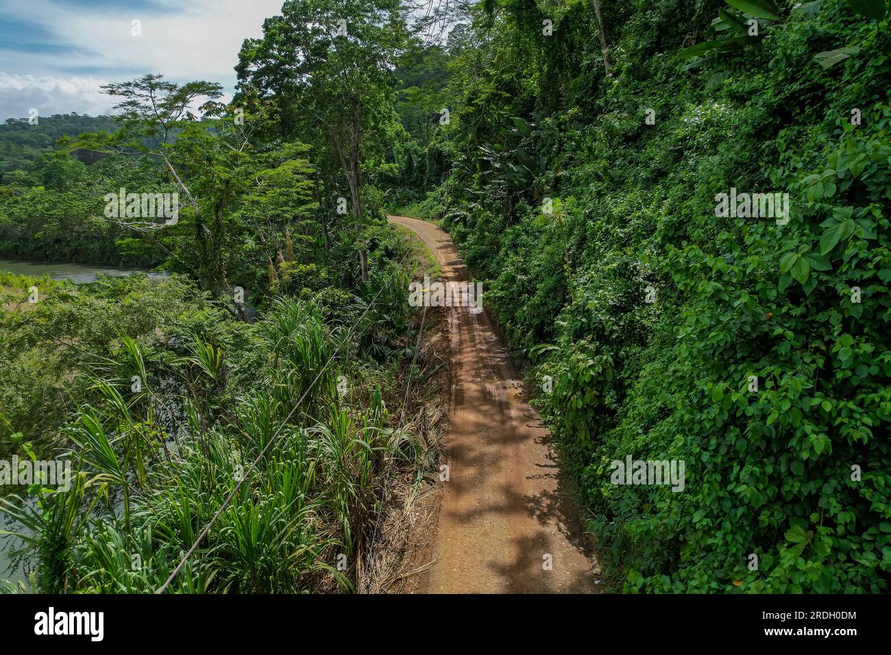 Beautiful aerial view of the Costa Rica Rainforest in the Talamanca ...