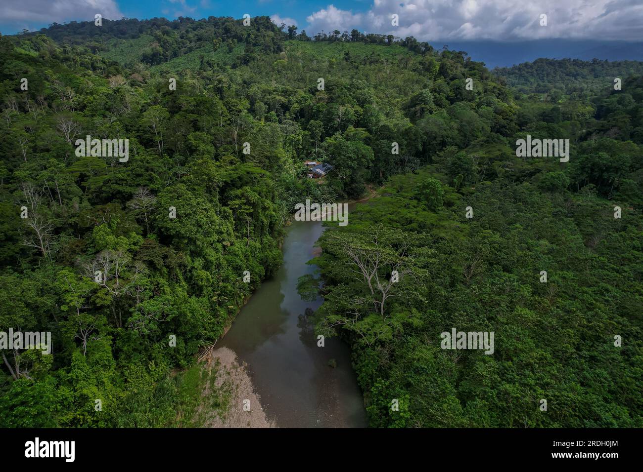 Beautiful aerial view of the Costa Rica Rainforest in the Talamanca ...