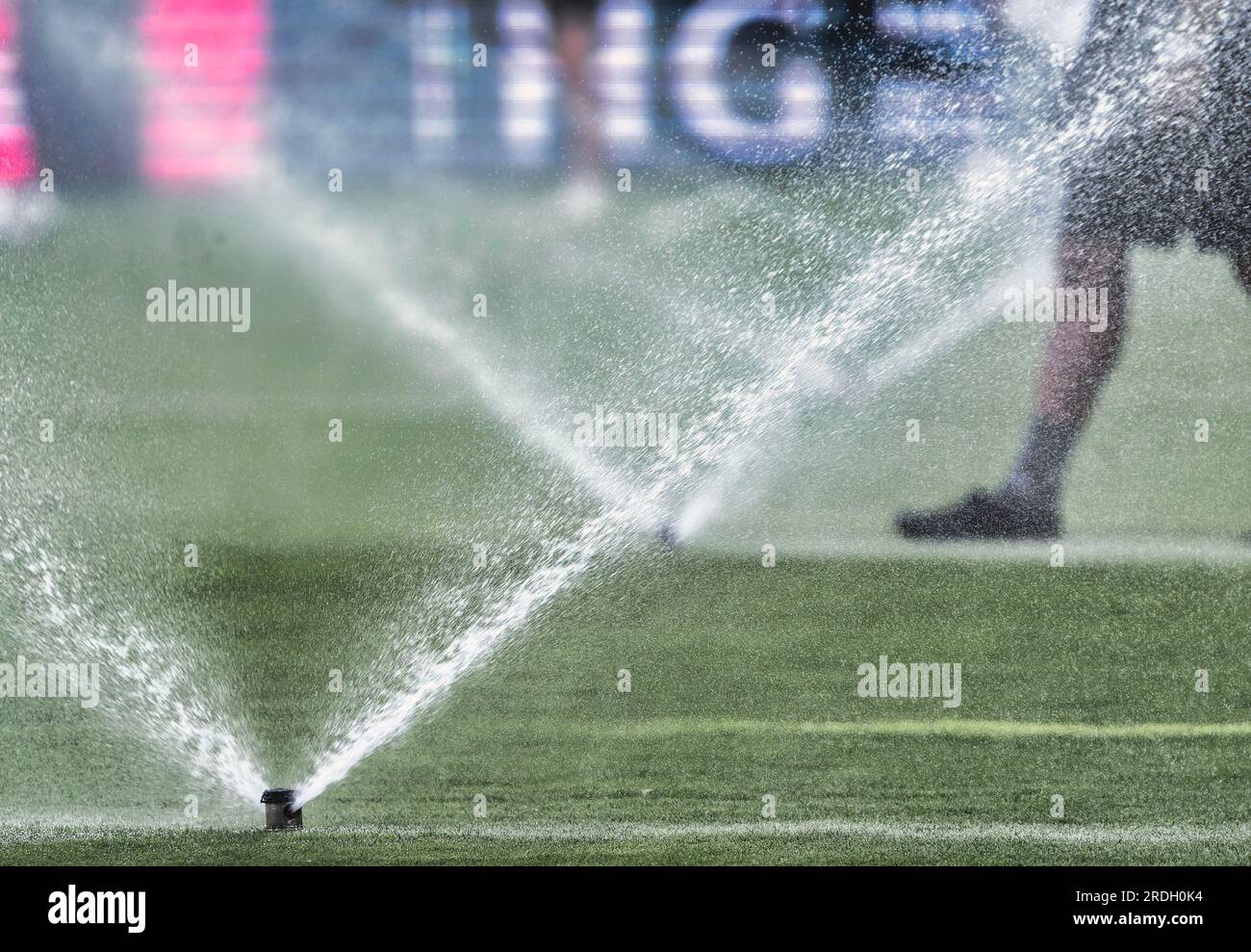 Soccer stadium field is watered before the game Stock Photo - Alamy