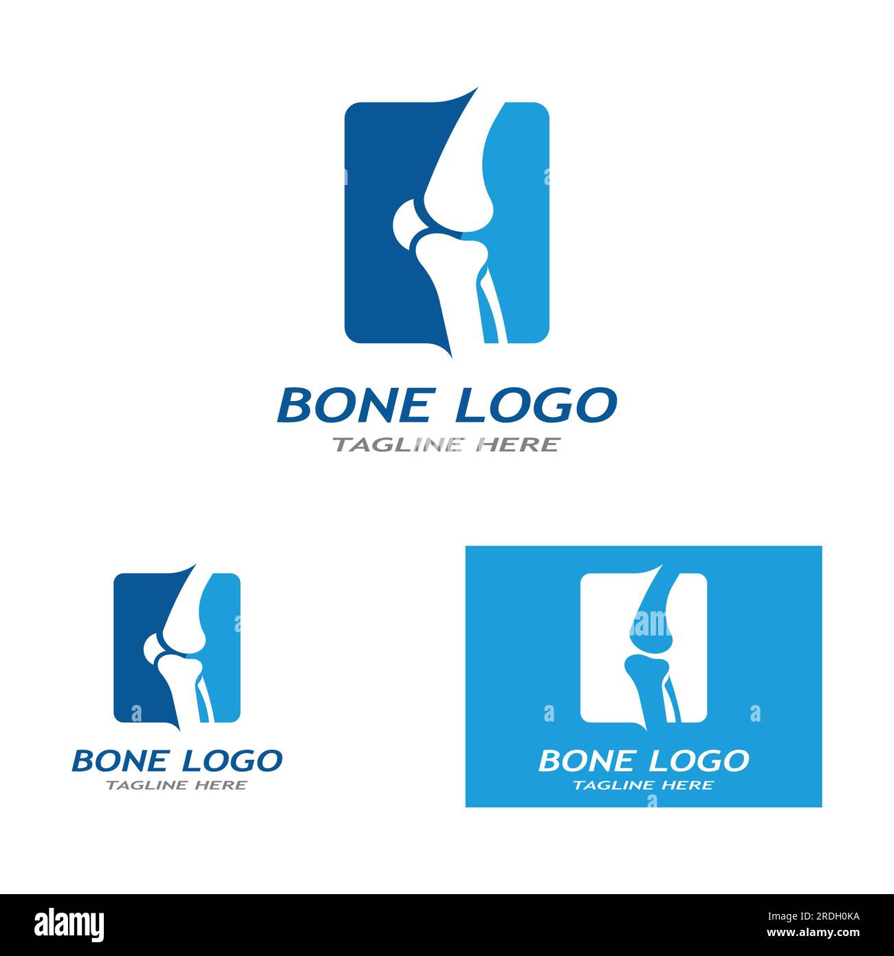 Bone logo icon vector design Stock Vector Image & Art - Alamy