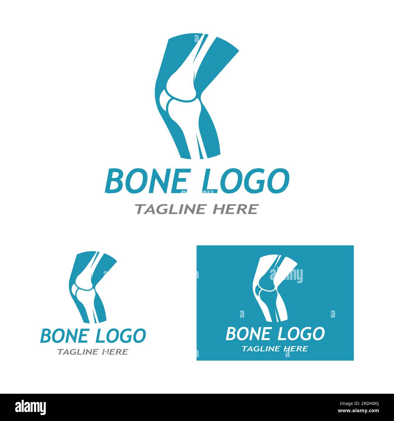 Bone logo icon vector design Stock Vector Image & Art - Alamy