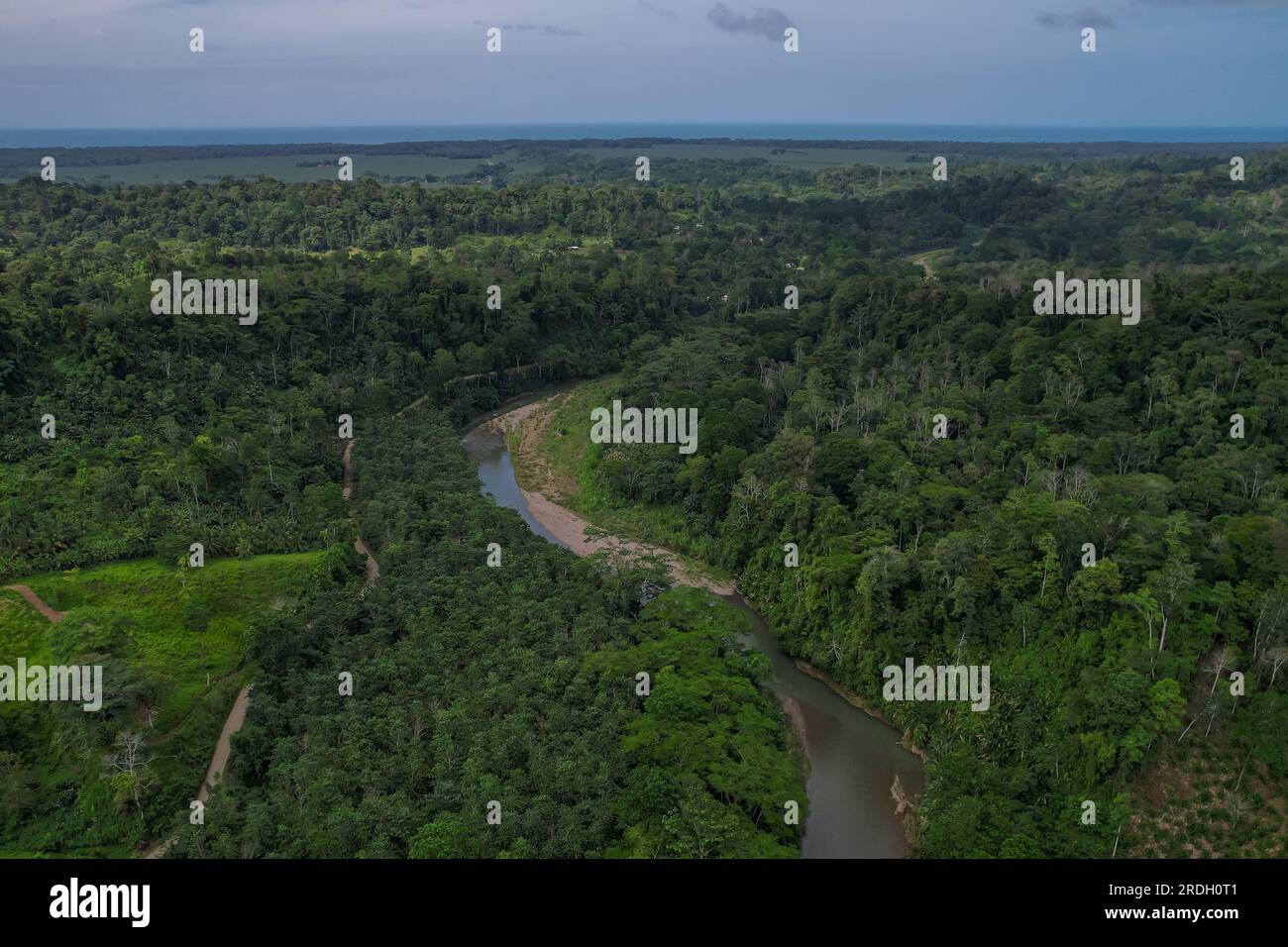 Beautiful aerial view of the Costa Rica Rainforest in the Talamanca ...