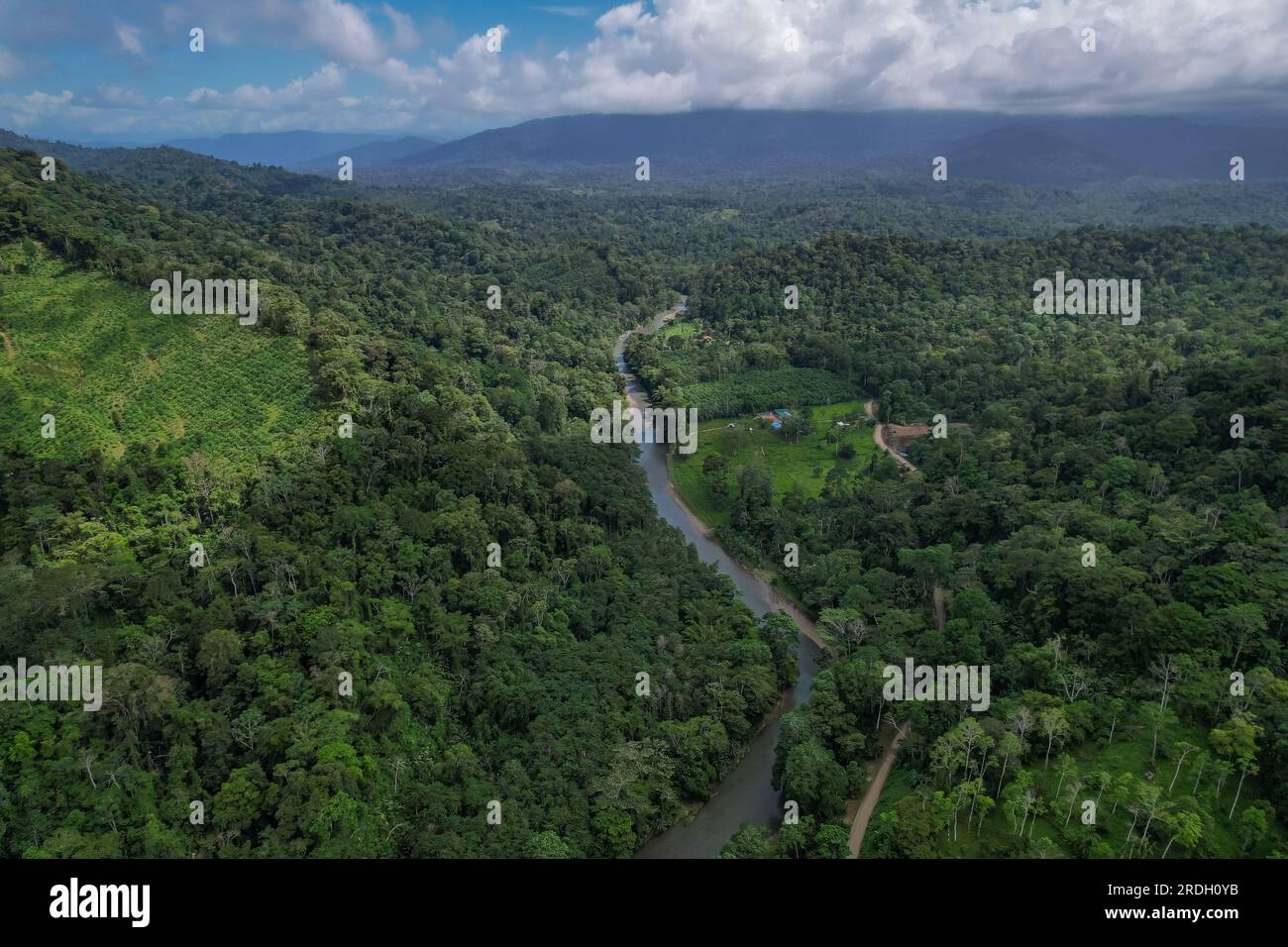 Beautiful aerial view of the Costa Rica Rainforest in the Talamanca ...