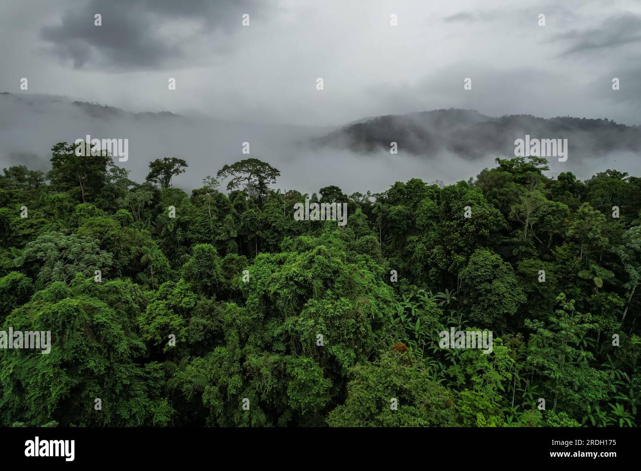 Beautiful aerial view of the Costa Rica Rainforest in the Talamanca ...