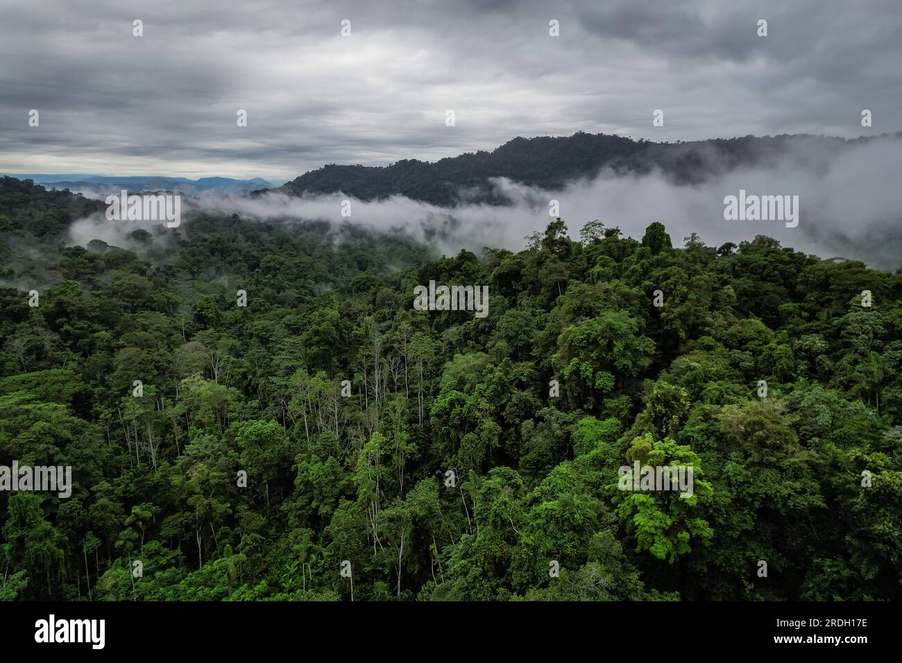 Beautiful aerial view of the Costa Rica Rainforest in the Talamanca ...