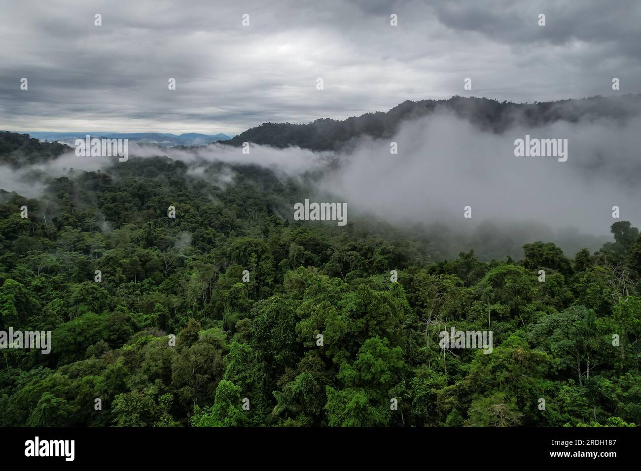 Beautiful aerial view of the Costa Rica Rainforest in the Talamanca ...