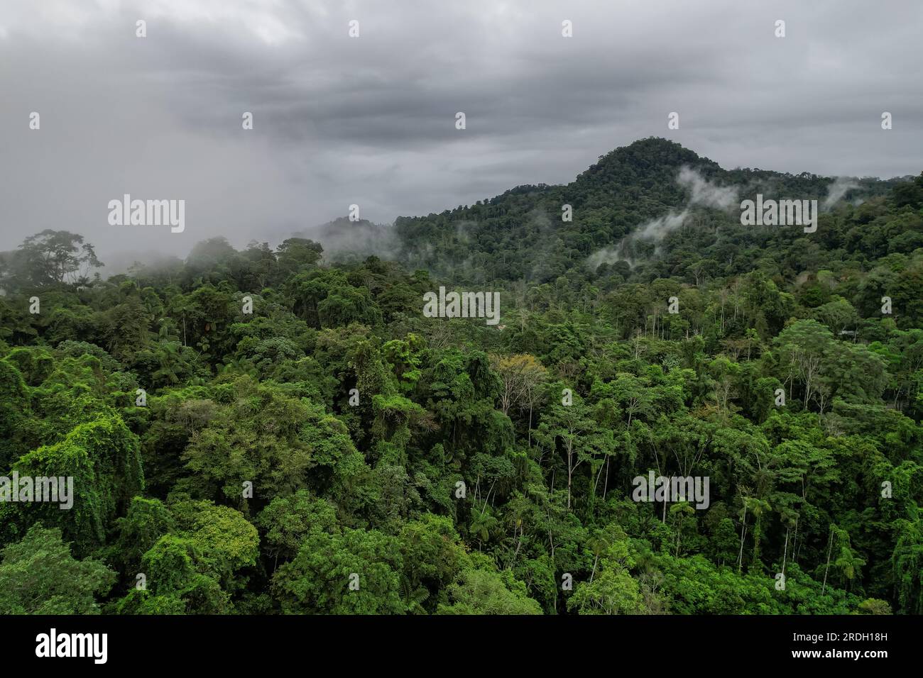 Beautiful aerial view of the Costa Rica Rainforest in the Talamanca ...