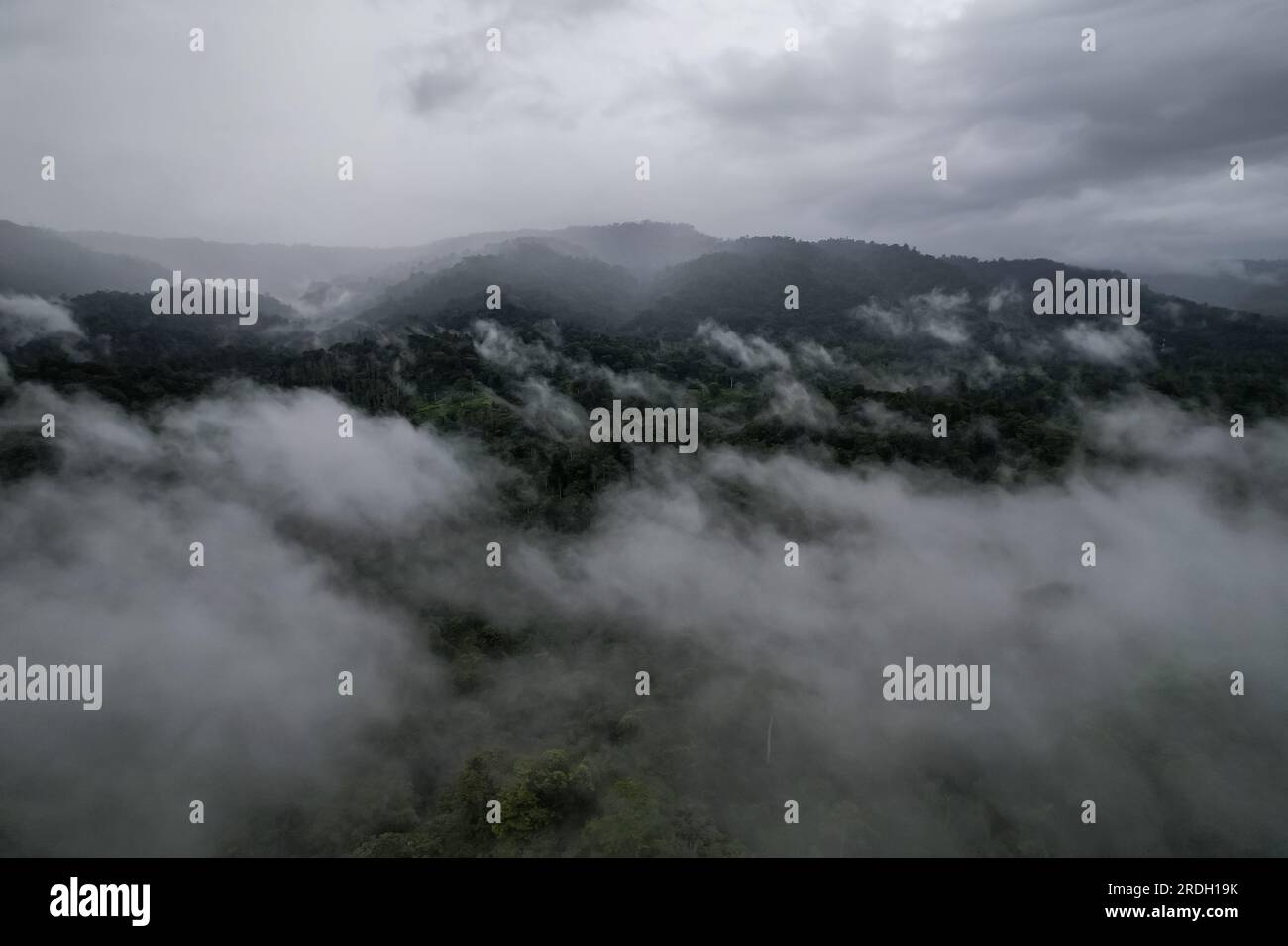 Beautiful aerial view of the Costa Rica Rainforest in the Talamanca ...