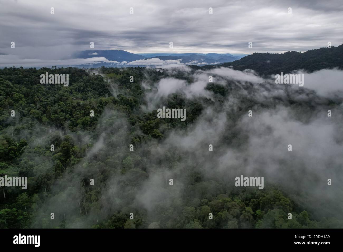 Beautiful aerial view of the Costa Rica Rainforest in the Talamanca ...