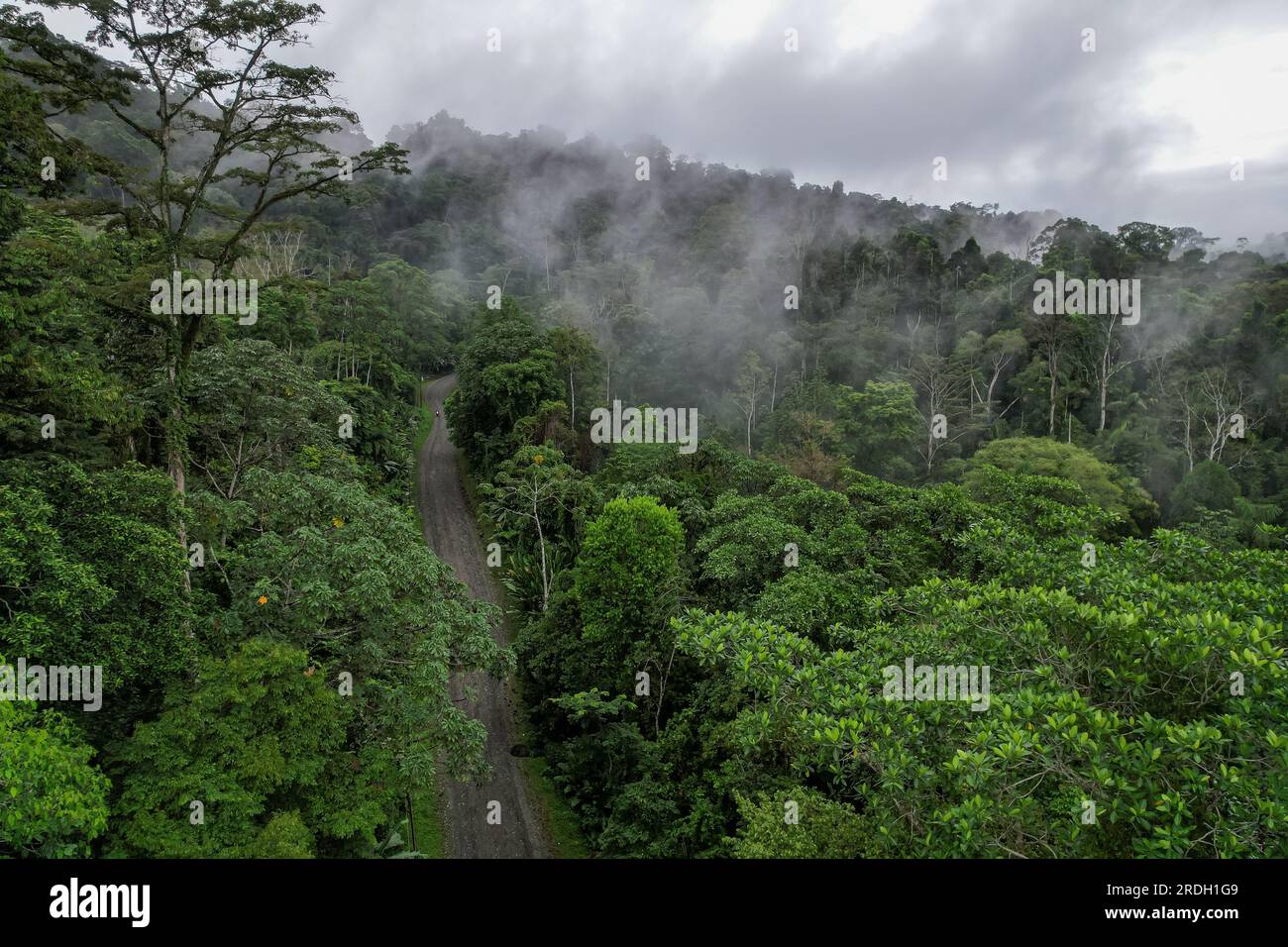 Bananito river hi-res stock photography and images - Alamy