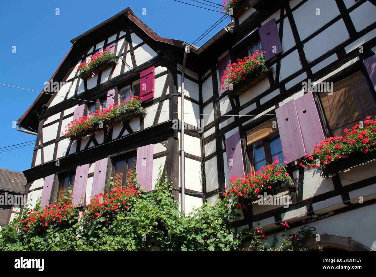 half-timbered houses in obernai in alsace (france Stock Photo - Alamy