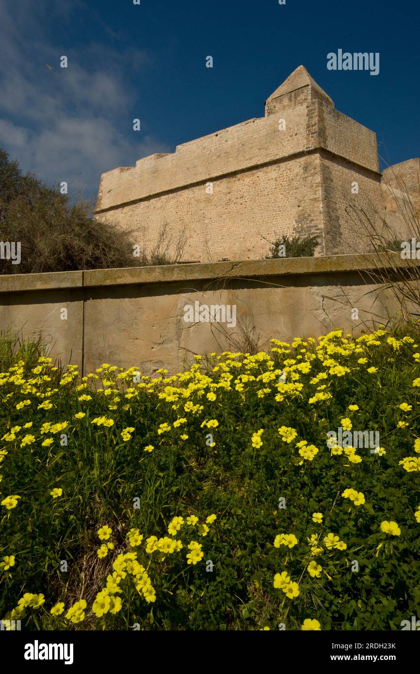 Muralla renacentista hi-res stock photography and images - Alamy