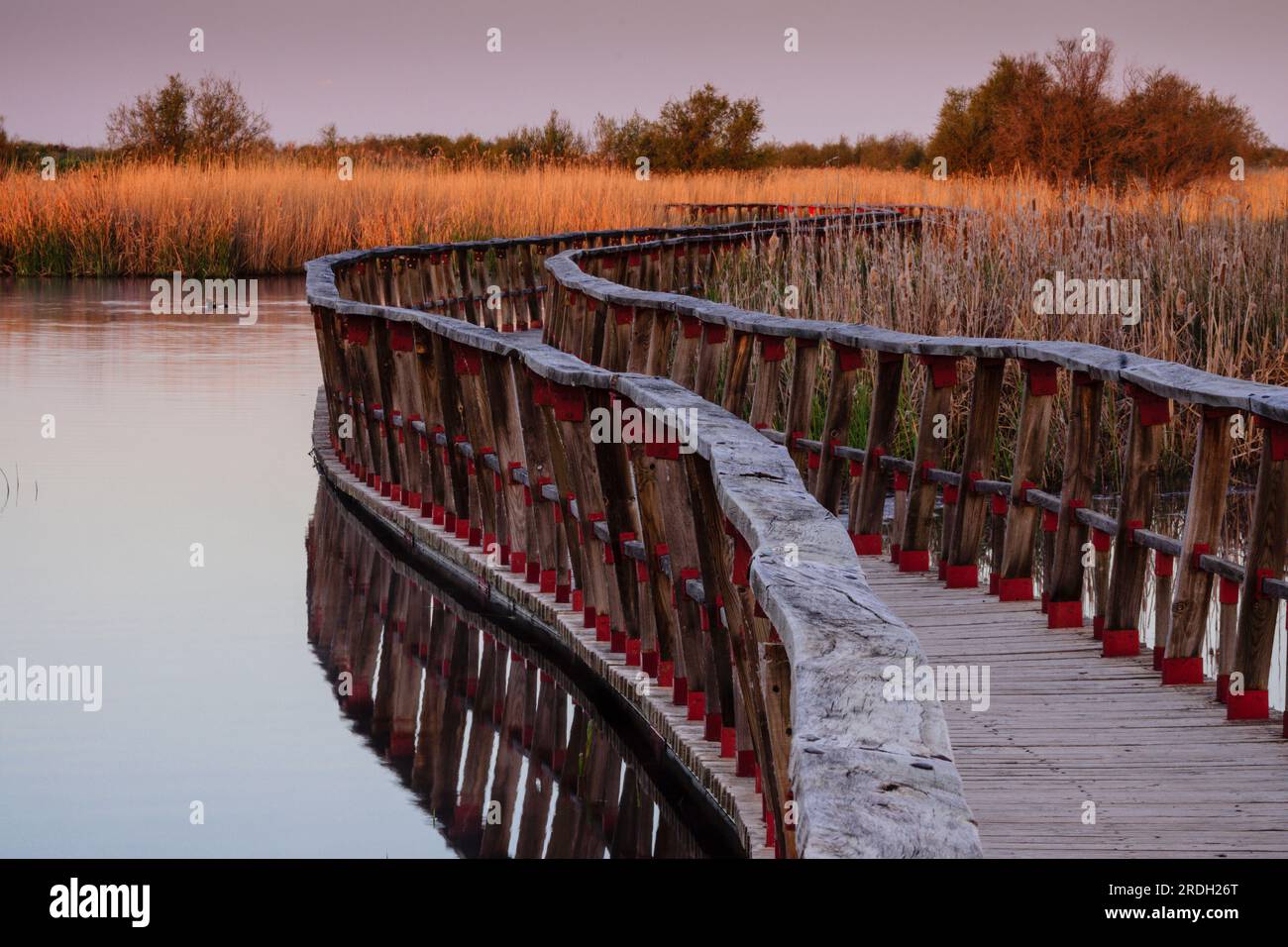 Camino de madera tablas de madera hi-res stock photography and images ...