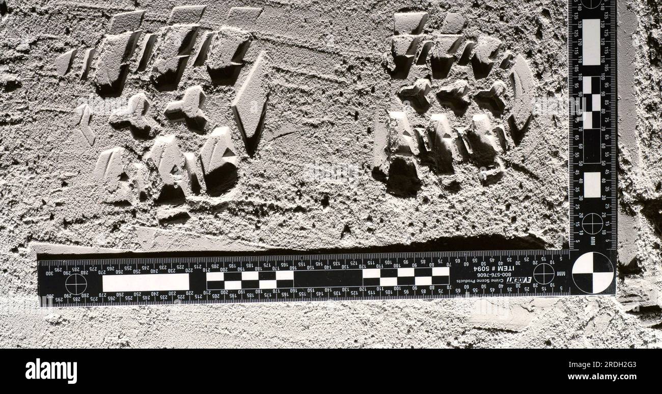 Shoe print crime scene hi-res stock photography and images - Alamy