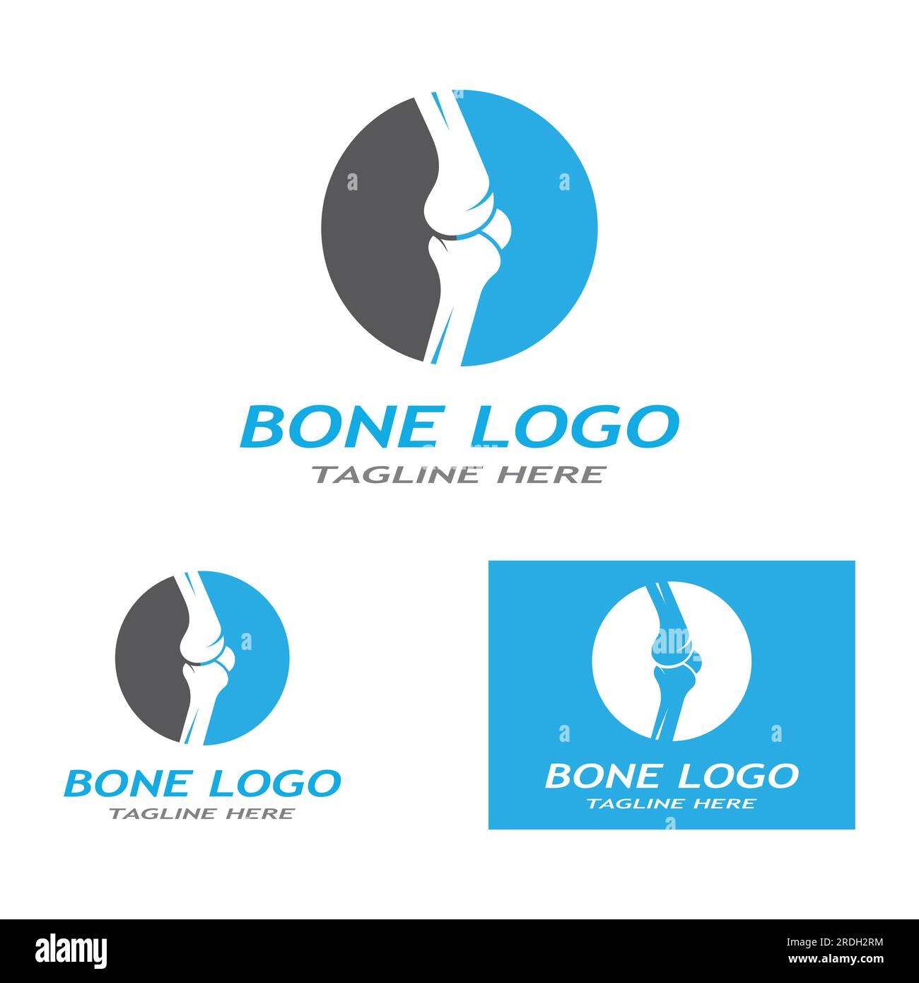 Bone logo icon vector design Stock Vector Image & Art - Alamy