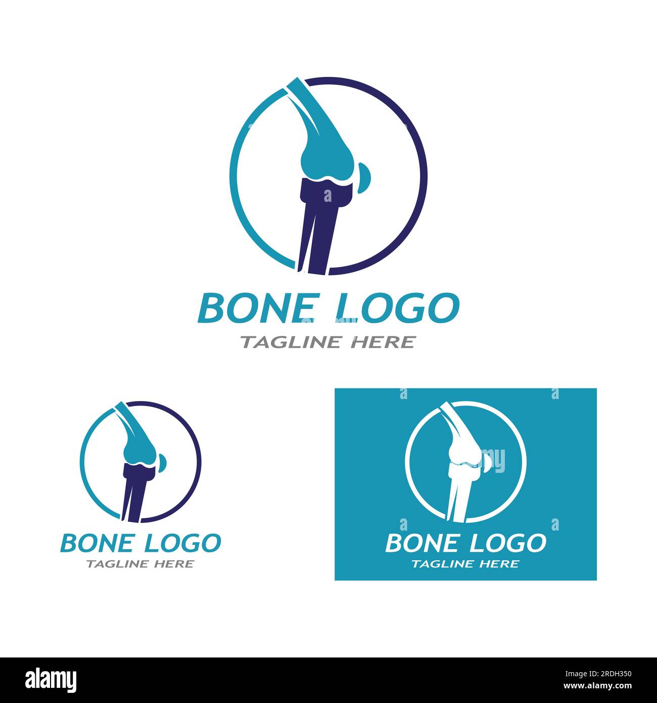 Bone logo icon vector design Stock Vector Image & Art - Alamy