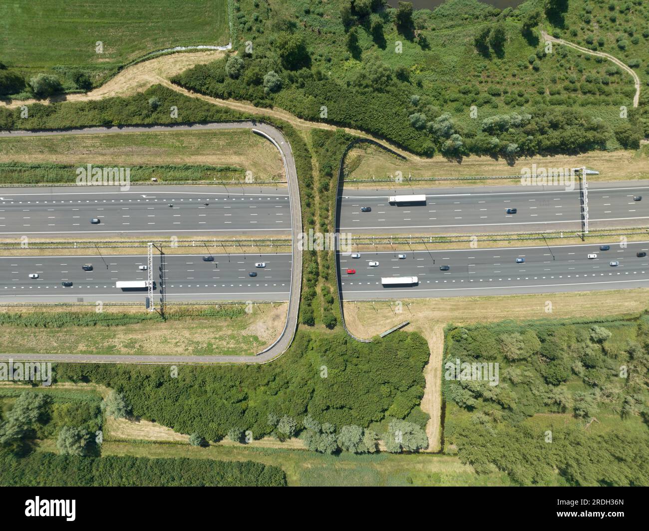 Wild life passing infrastructure in The Netherlands Stock Photo - Alamy