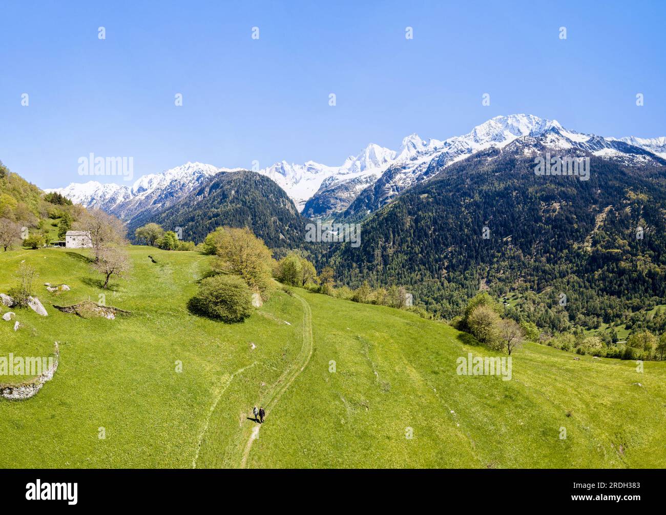 Swiss alps meadow at the beautiful village Soglio with the mountain ...