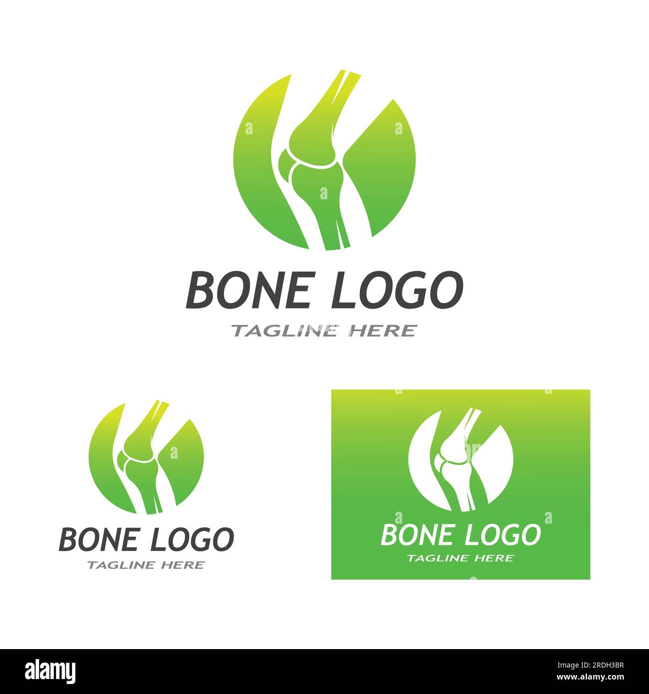 Bone logo icon vector design Stock Vector Image & Art - Alamy