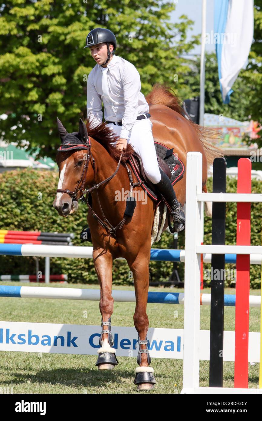 riding contest in germany Stock Photo - Alamy