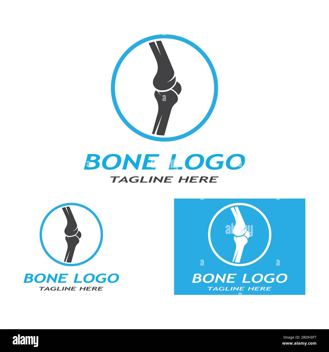 Bone logo icon vector design Stock Vector Image & Art - Alamy