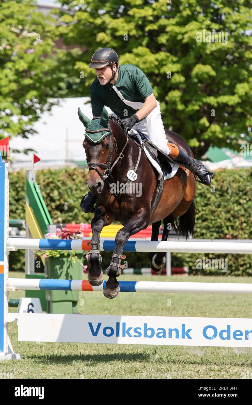 riding contest in germany Stock Photo - Alamy