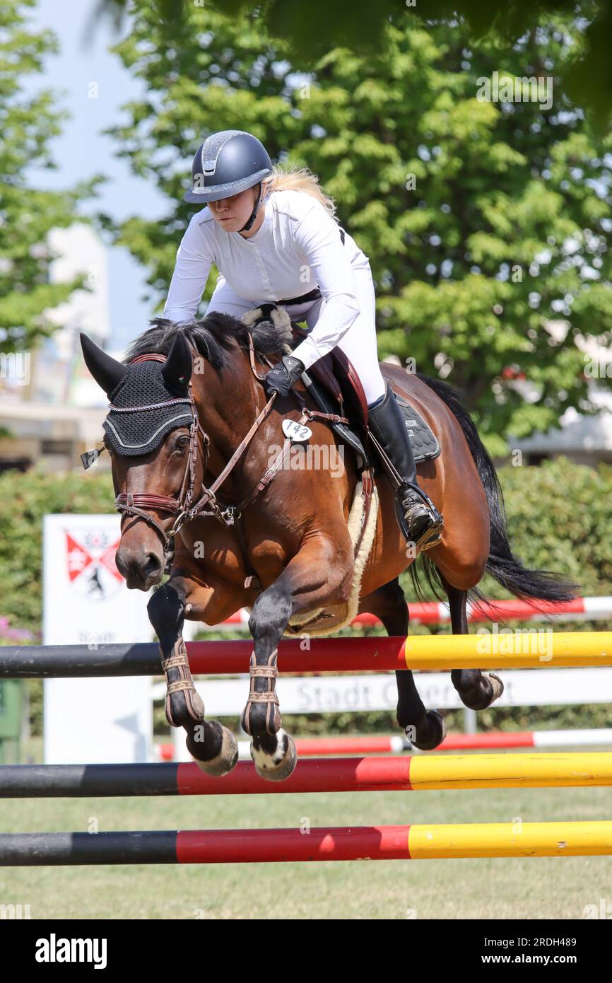riding contest in germany Stock Photo - Alamy