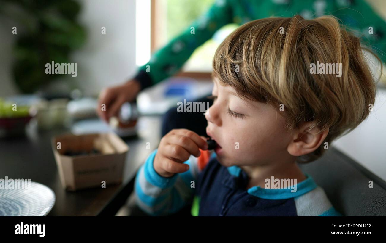 One small boy grabs blueberry fruit snack eating breakfast healthy food ...